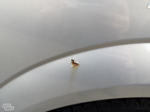 Opel Astra 2006 Kauņa, ar dzinēja tilpumu 1.70 L un nobraukumu 267 tūkst. km par 1128 €, foto 12 vietnē AUTOMOTO.COM.LV
