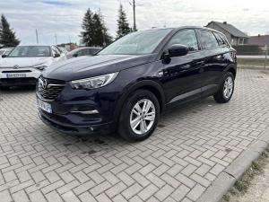 Blue Opel Grandland X 2018 in Taurage, with an engine capacity of 1.50 L and mileage of 170 thousand km for 9100 €, photo  on AUTOMOTO.COM.LV