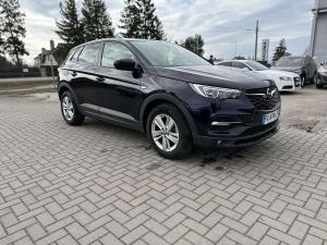 Синий Опель Grandland X 2018 в Таураге, объемом двигателя 1.50 л и пробегом 170 тыс. км за 9100 €, фото 4 на AUTOMOTO.COM.LV