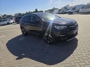 Blue Opel Grandland X 2019 in Taurage, with an engine capacity of 1.20 L and mileage of 103 thousand km for 9900 €, photo 4 on AUTOMOTO.COM.LV