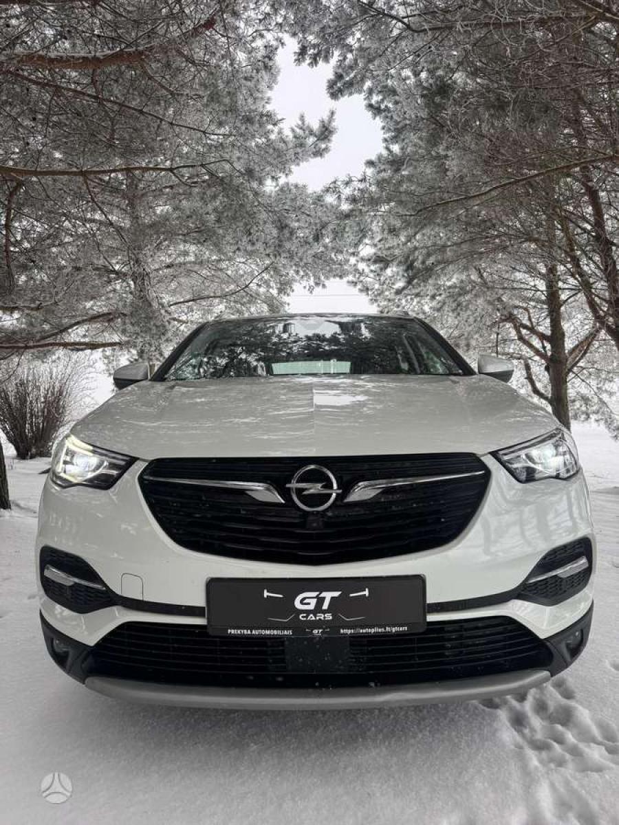 Balts Opel Grandland X 2018 Alīta, ar dzinēja tilpumu 1.20 L un nobraukumu 159 tūkst. km par 9900 €, foto 13 vietnē AUTOMOTO.COM.LV