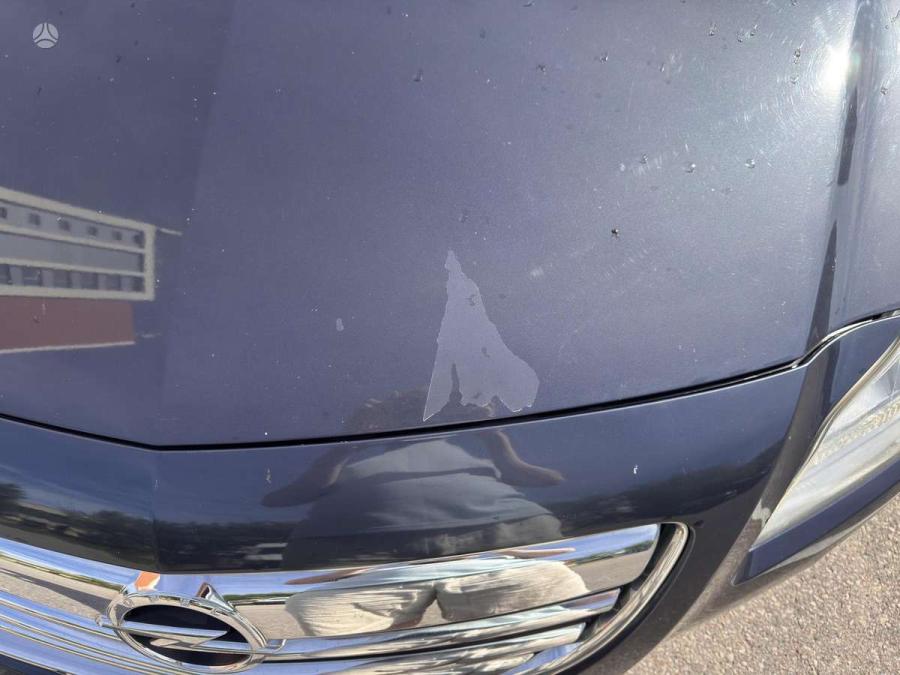 Blue Opel Insignia 2009 in Vilnius, with an engine capacity of 1.96 L and mileage of 269 thousand km for 3350 €, photo 11 on AUTOMOTO.COM.LV