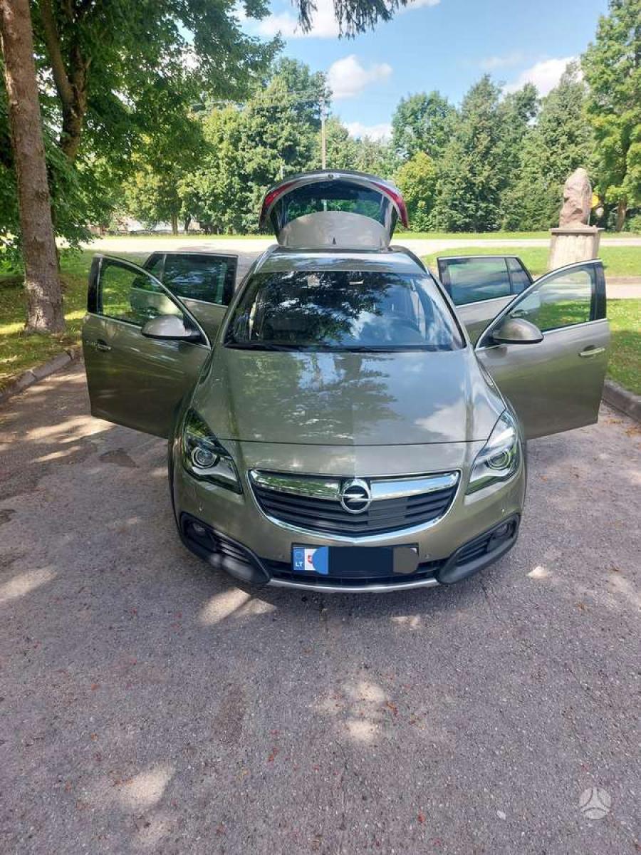 Zaļš Opel Insignia 2014 Radviliškis, ar dzinēja tilpumu 1.96 L un nobraukumu 296 tūkst. km par 6250 €, foto 10 vietnē AUTOMOTO.COM.LV