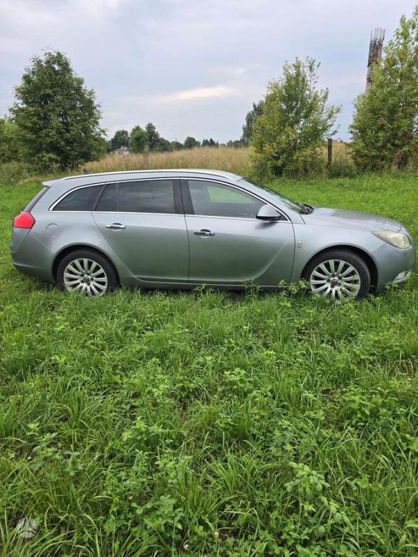 Grey Opel Insignia 2009 in Moletai, with an engine capacity of 1.96 L and mileage of 385 thousand km for 1990 €, photo 2 on AUTOMOTO.COM.LV
