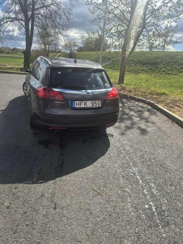 Pelēks Opel Insignia 2009 Kėdainiai, ar dzinēja tilpumu 1.96 L un nobraukumu 310 tūkst. km par 1850 €, foto 3 vietnē AUTOMOTO.COM.LV