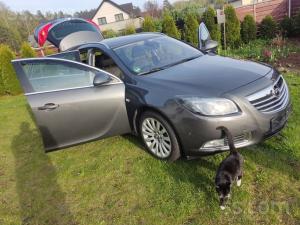 Pelēks Opel Insignia 2010 Rīga, ar dzinēja tilpumu 2.00 L un nobraukumu 218 tūkst. km par 3250 €, foto 3 vietnē AUTOMOTO.COM.LV