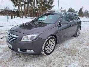 Grey Opel Insignia 2010 in Kelme, with an engine capacity of 2.00 L and mileage of 295 thousand km for 2650 €, photo  on AUTOMOTO.COM.LV