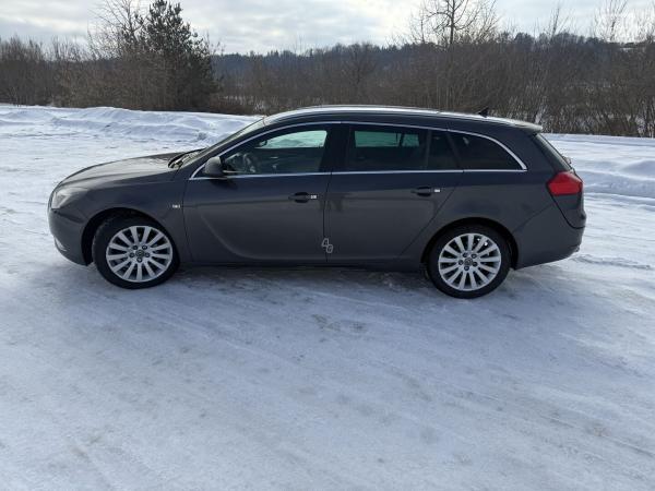 Grey Opel Insignia 2010 in Kaunas, with an engine capacity of 2.00 L and mileage of 315 thousand km for 2850 €, photo 8 on AUTOMOTO.COM.LV