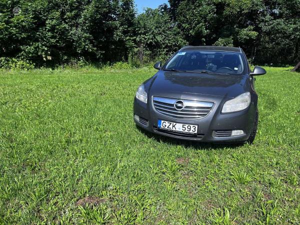 Grey Opel Insignia 2010 in Vilnius, with an engine capacity of 1.96 L and mileage of 194 thousand km for 4000 €, photo 2 on AUTOMOTO.COM.LV