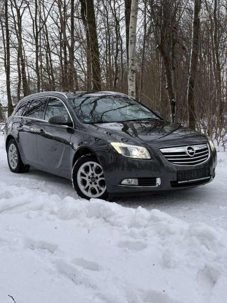Grey Opel Insignia 2011 in Raseiniai, with an engine capacity of 1.96 L and mileage of 215 thousand km for 3450 €, photo 8 on AUTOMOTO.COM.LV