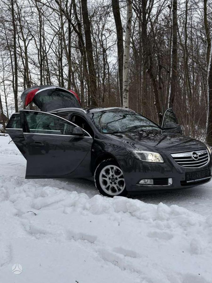 Grey Opel Insignia 2011 in Raseiniai, with an engine capacity of 1.96 L and mileage of 215 thousand km for 3450 €, photo 16 on AUTOMOTO.COM.LV