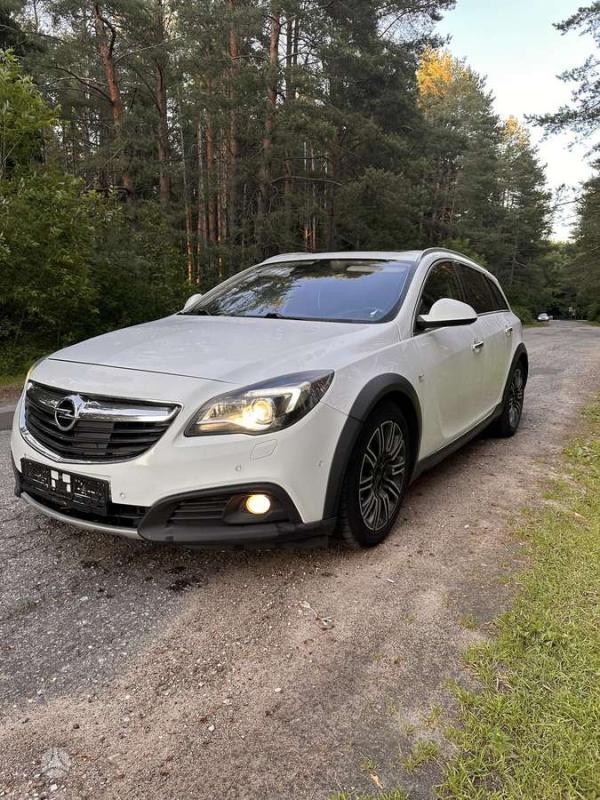 Balts Opel Insignia 2014 Viļņa, ar dzinēja tilpumu 2.00 L un nobraukumu 290 tūkst. km par 2900 €, foto 6 vietnē AUTOMOTO.COM.LV