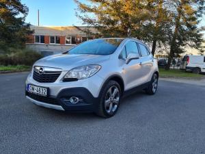 Grey Opel Mokka 2014 in Ogre, with an engine capacity of 1.70 L and mileage of 198 thousand km for 6470 €, photo  on AUTOMOTO.COM.LV