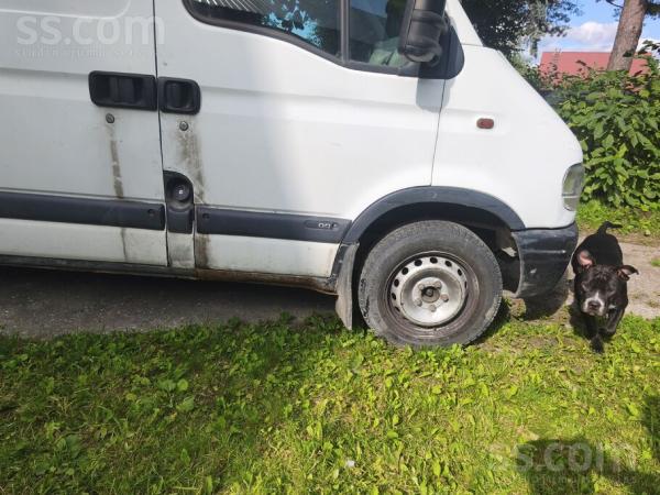 White Opel Movano 2004 in Aizkraukle, with an engine capacity of 2.20 L and mileage of 337 thousand km for 1500 €, photo 3 on AUTOMOTO.COM.LV
