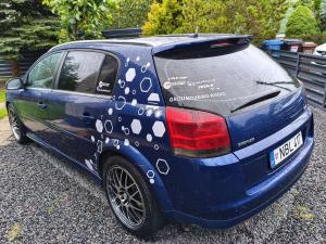 Zils Opel Signum 2006 Marijampole, ar dzinēja tilpumu 1.91 L un nobraukumu 323 tūkst. km par 2300 €, foto 15 vietnē AUTOMOTO.COM.LV