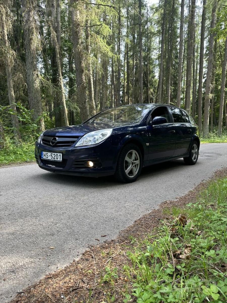 Zils Opel Signum 2006 Rēzekne, ar dzinēja tilpumu 3.00 L un nobraukumu 360 tūkst. km par 1500 €, foto 9 vietnē AUTOMOTO.COM.LV