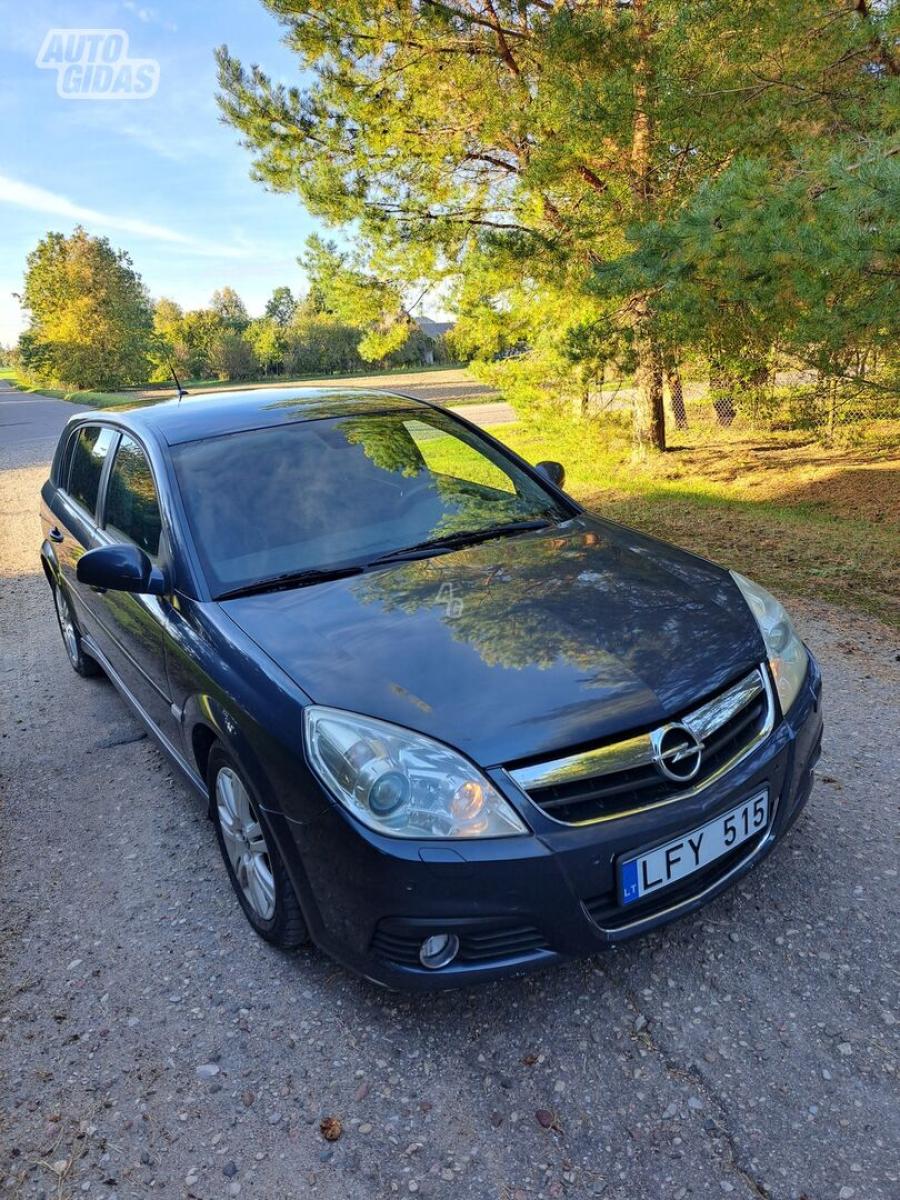 Pelēks Opel Signum 2008 Kauņa, ar dzinēja tilpumu 1.90 L un nobraukumu 275 tūkst. km par 1690 €, foto 17 vietnē AUTOMOTO.COM.LV