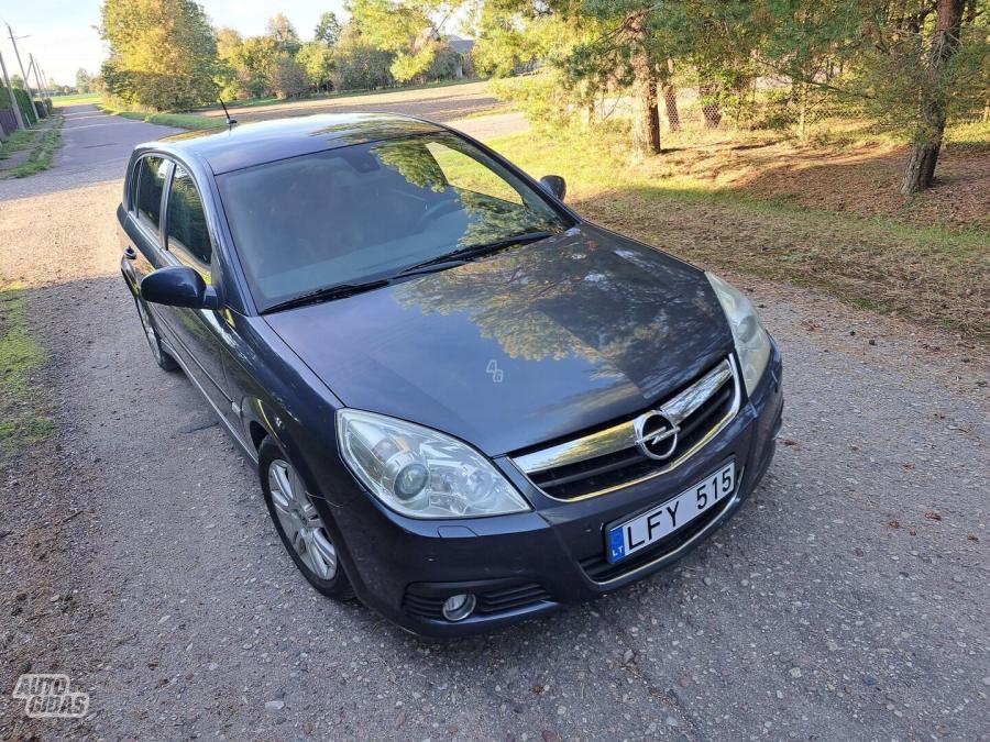 Pelēks Opel Signum 2008 Kauņa, ar dzinēja tilpumu 1.90 L un nobraukumu 275 tūkst. km par 1690 €, foto 19 vietnē AUTOMOTO.COM.LV