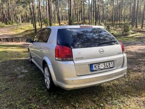 Pelēks Opel Signum 2008 Rīga, ar dzinēja tilpumu 1.90 L un nobraukumu 258 tūkst. km par 2150 €, foto 3 vietnē AUTOMOTO.COM.LV