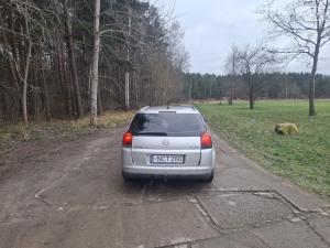Opel Sintra 2004 Viļņa, ar dzinēja tilpumu 1.90 L un nobraukumu 397 tūkst. km par 790 €, foto 6 vietnē AUTOMOTO.COM.LV