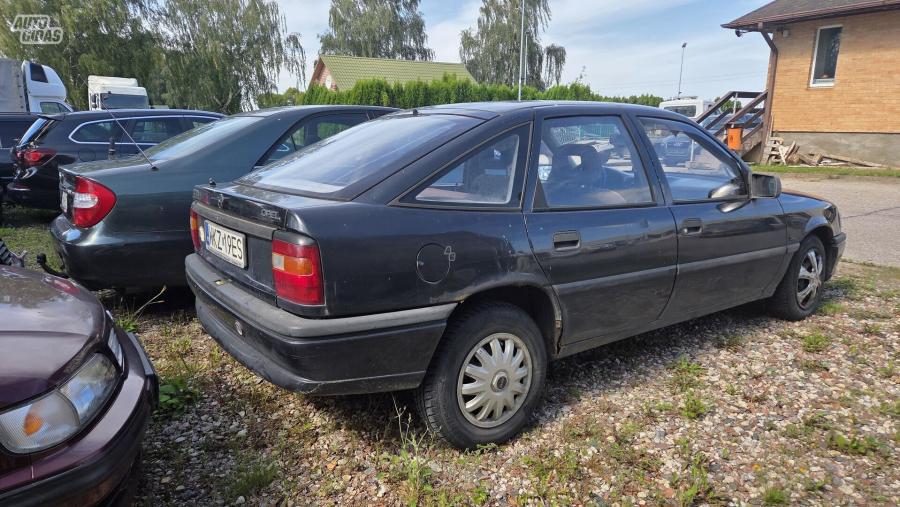 Opel Vectra 1993 Marijampole, ar dzinēja tilpumu 1.60 L un nobraukumu 221 tūkst. km par 790 €, foto 13 vietnē AUTOMOTO.COM.LV