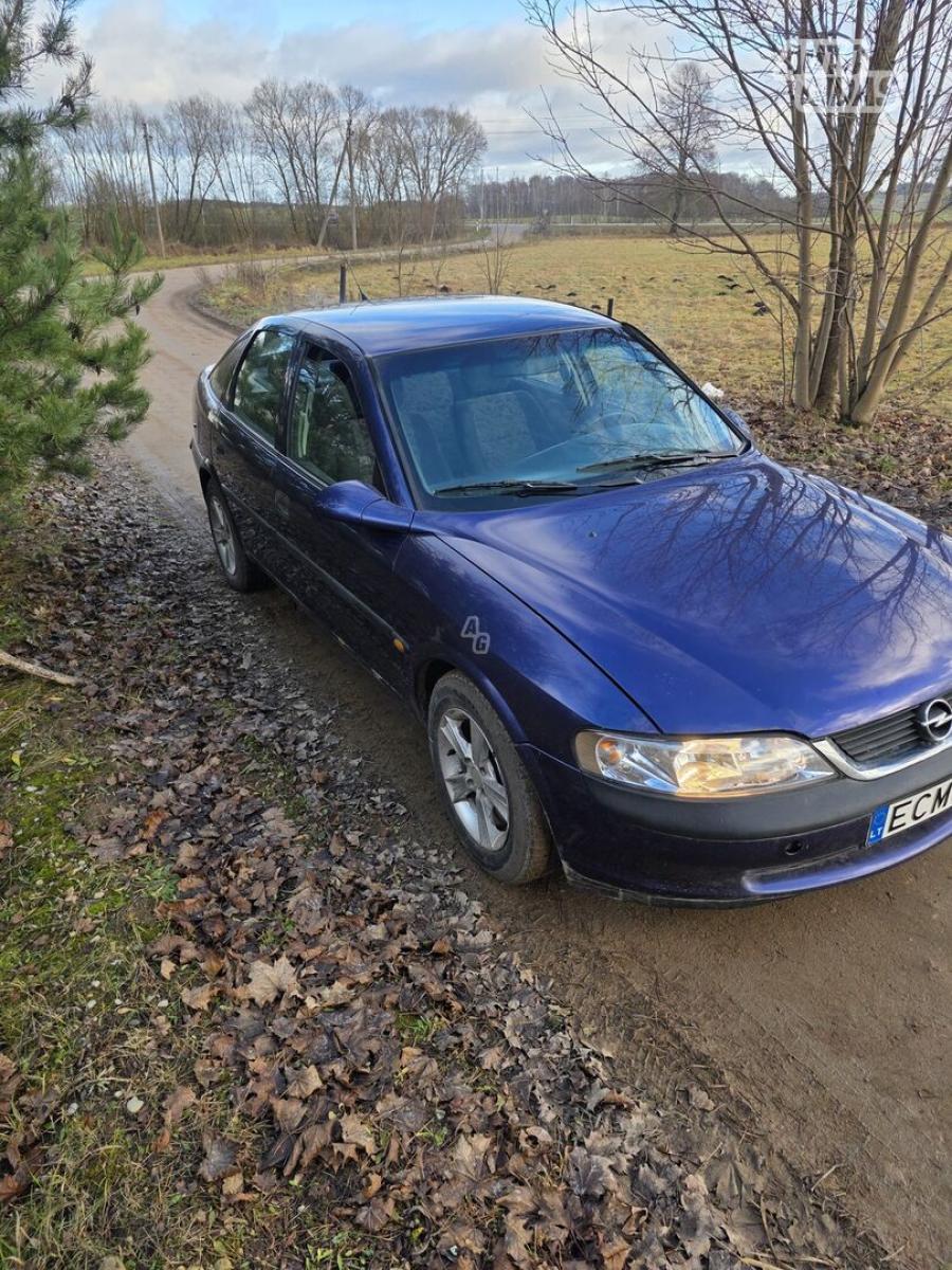 Opel Vectra 1996 in Telschi, with an engine capacity of 1.60 L and mileage of 230 thousand km for 420 €, photo 2 on AUTOMOTO.COM.LV