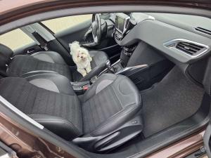 Sarkans Peugeot 2008 2014 Marijampole, ar dzinēja tilpumu 1.20 L un nobraukumu 153 tūkst. km par 3450 €, foto 14 vietnē AUTOMOTO.COM.LV