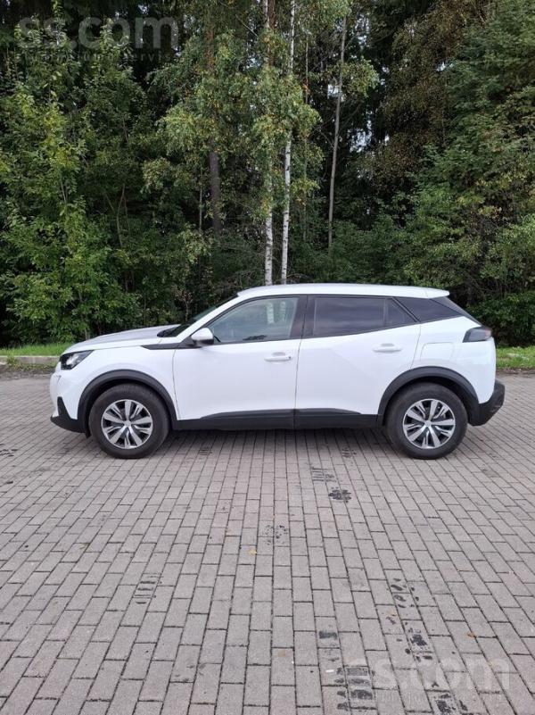 Peugeot 2008 2020 Rīga vietnē Balts Peugeot 2008 2020 Rīga, ar dzinēja tilpumu 1.20 L un nobraukumu 68 tūkst. km par 12400 €, foto 8 vietnē AUTOMOTO.COM.LV