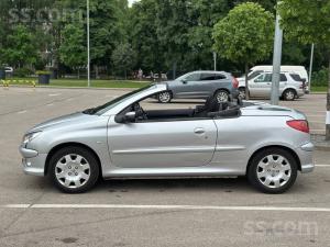 Пежо 206 2004 в Рига, объемом двигателя 1.60 л и пробегом 227 тыс. км за 2400 €, фото 10 на AUTOMOTO.COM.LV