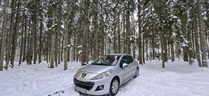 Grey Peugeot 207 2010 in Panevezys, with an engine capacity of 1.40 L and mileage of 175 thousand km for 1999 €, photo 3 on AUTOMOTO.COM.LV