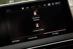 Peugeot 3008 2019 Jelgava, ar dzinēja tilpumu 1.20 L un nobraukumu 174 tūkst. km par 10990 €, foto 30 vietnē AUTOMOTO.COM.LV