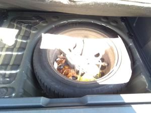 Pelēks Peugeot 3008 2010 Vilkaviškis, ar dzinēja tilpumu 1.60 L un nobraukumu 243 tūkst. km par 3000 €, foto 14 vietnē AUTOMOTO.COM.LV