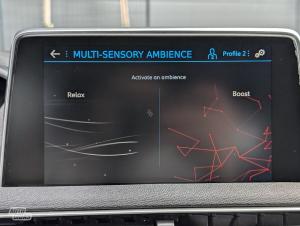 Grey Peugeot 3008 2017 in Siauliai, with an engine capacity of 1.20 L and mileage of 153 thousand km for 12990 €, photo 21 on AUTOMOTO.COM.LV