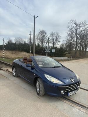 Blue Peugeot 307 2006 in Vilnius, with an engine capacity of 1.60 L and mileage of 167 thousand km for 2200 €, photo 8 on AUTOMOTO.COM.LV