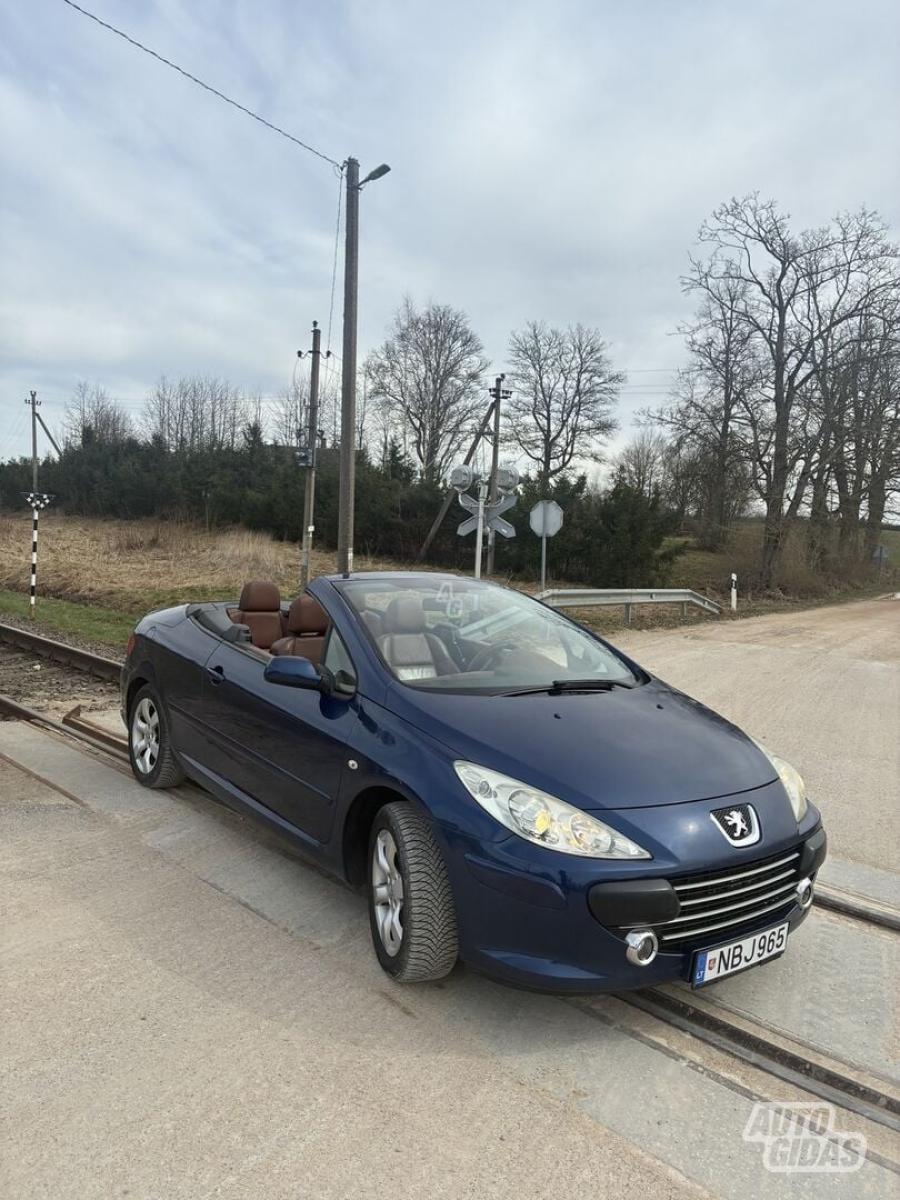 Blue Peugeot 307 2006 in Vilnius, with an engine capacity of 1.60 L and mileage of 167 thousand km for 2200 €, photo 8 on AUTOMOTO.COM.LV