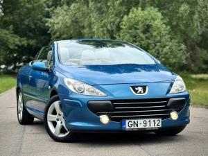 Zils Peugeot 307 2007 Rīga, ar dzinēja tilpumu 2.00 L un nobraukumu 220 tūkst. km par 3500 €, foto 6 vietnē AUTOMOTO.COM.LV