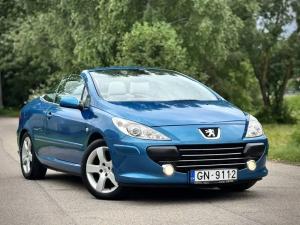 Zils Peugeot 307 2007 Rīga, ar dzinēja tilpumu 2.00 L un nobraukumu 220 tūkst. km par 3500 €, foto 17 vietnē AUTOMOTO.COM.LV