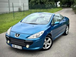 Zils Peugeot 307 2007 Rīga, ar dzinēja tilpumu 2.00 L un nobraukumu 220 tūkst. km par 3500 €, foto 19 vietnē AUTOMOTO.COM.LV