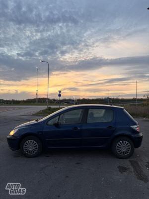 Zils Peugeot 307 2001 Panevēža, ar dzinēja tilpumu 2.00 L un nobraukumu 256 tūkst. km par 680 €, foto 4 vietnē AUTOMOTO.COM.LV