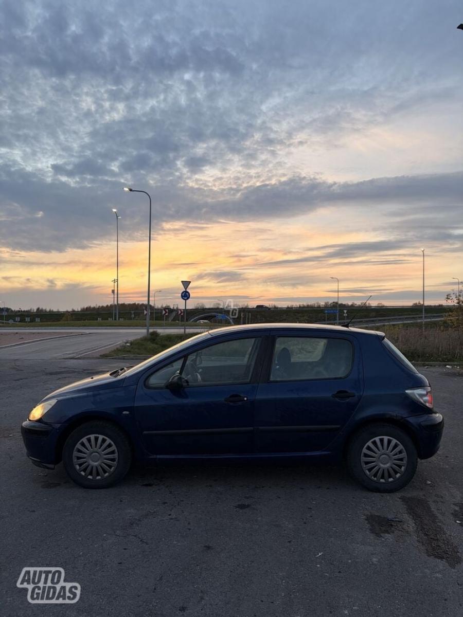 Zils Peugeot 307 2001 Panevēža, ar dzinēja tilpumu 2.00 L un nobraukumu 256 tūkst. km par 680 €, foto 4 vietnē AUTOMOTO.COM.LV