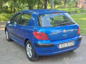 Zils Peugeot 307 2003 Rīga, ar dzinēja tilpumu 1.60 L un nobraukumu 250 tūkst. km par 1300 €, foto 9 vietnē AUTOMOTO.COM.LV