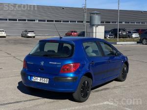 Zils Peugeot 307 2004 Rīga, ar dzinēja tilpumu 1.60 L un nobraukumu 152 tūkst. km par 800 €, foto 5 vietnē AUTOMOTO.COM.LV