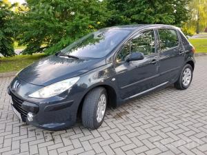 Zils Peugeot 307 2006 Kuldīga, ar dzinēja tilpumu 1.60 L un nobraukumu 294 tūkst. km par 1400 €, foto 6 vietnē AUTOMOTO.COM.LV