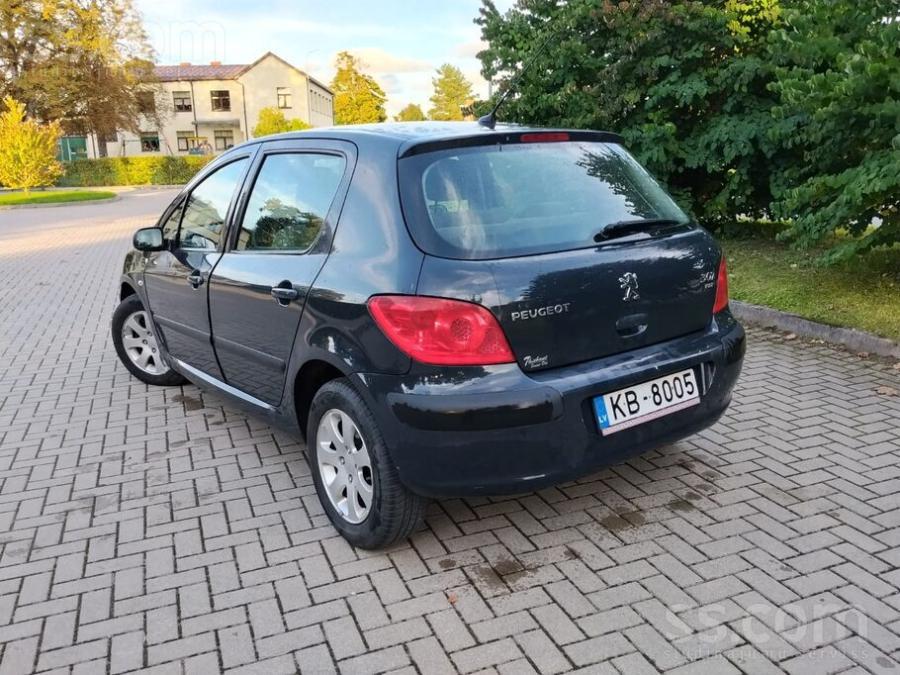Zils Peugeot 307 2006 Kuldīga, ar dzinēja tilpumu 1.60 L un nobraukumu 294 tūkst. km par 1400 €, foto 7 vietnē AUTOMOTO.COM.LV