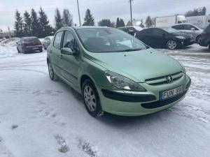 Zaļš Peugeot 307 2003 Viļņa, ar dzinēja tilpumu 1.60 L un nobraukumu 237 tūkst. km par 1370 €, foto 13 vietnē AUTOMOTO.COM.LV