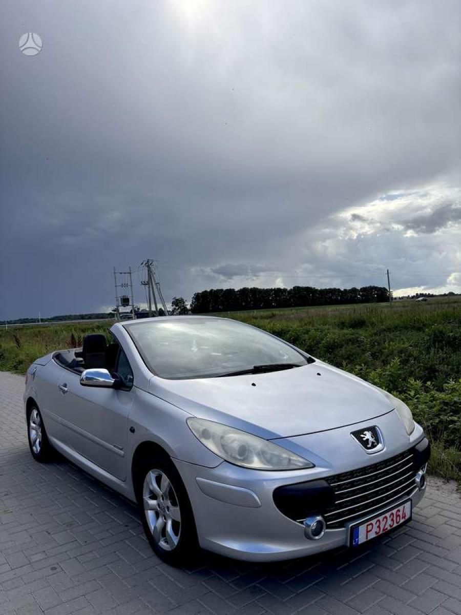 Pelēks Peugeot 307 2006 Kauņa, ar dzinēja tilpumu 1.59 L un nobraukumu 210 tūkst. km par 600 €, foto 13 vietnē AUTOMOTO.COM.LV