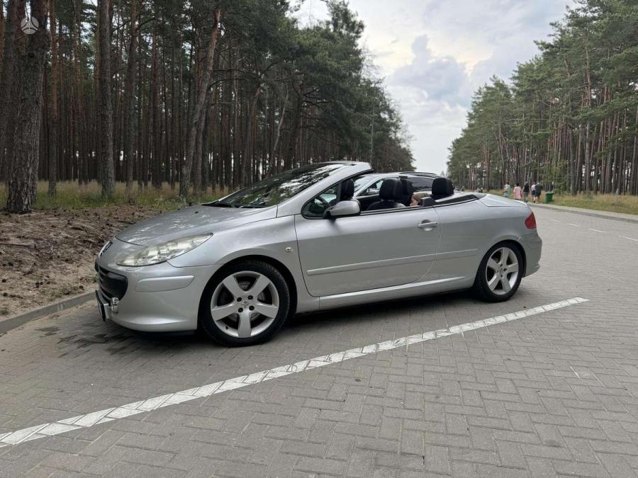 Серый Пежо 307 2007 в Вильнюс, объемом двигателя 2.00 л и пробегом 311 тыс. км за 2200 €, фото 10 на AUTOMOTO.COM.LV