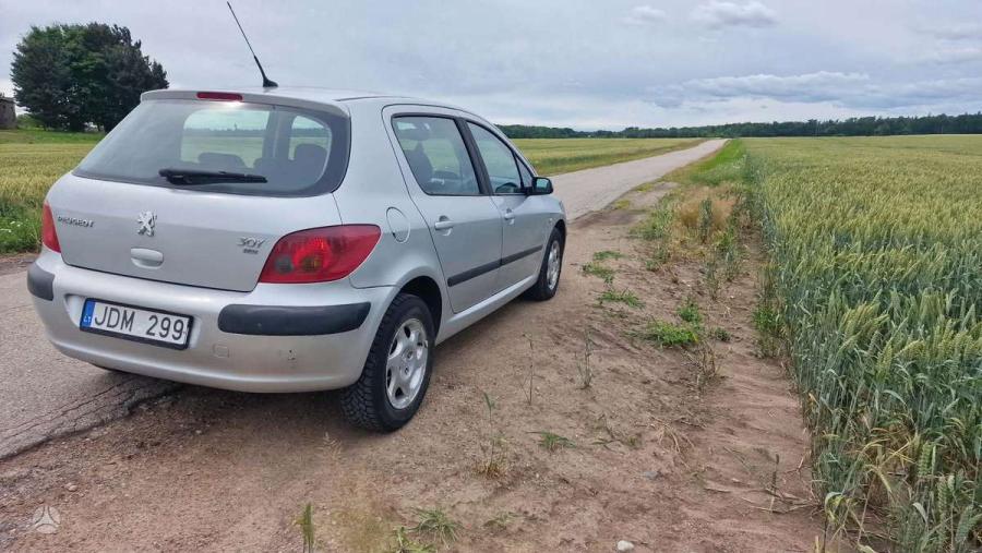 Pelēks Peugeot 307 2003 Kėdainiai, ar dzinēja tilpumu 2.00 L un nobraukumu 243 tūkst. km par 1000 €, foto 6 vietnē AUTOMOTO.COM.LV