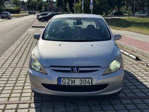 Grey Peugeot 307 2004 in Ukmerge, with an engine capacity of 1.60 L and mileage of 365 thousand km for 650 €, photo 9 on AUTOMOTO.COM.LV