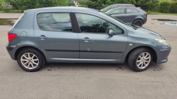 Pelēks Peugeot 307 2006 Panevēža, ar dzinēja tilpumu 1.40 L un nobraukumu 179 tūkst. km par 1250 €, foto 3 vietnē AUTOMOTO.COM.LV